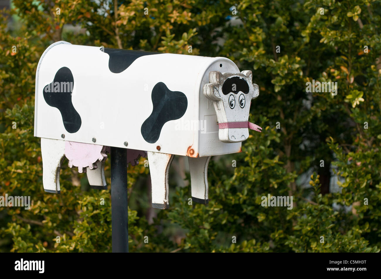 Cow mailbox hi-res stock photography and images - Alamy