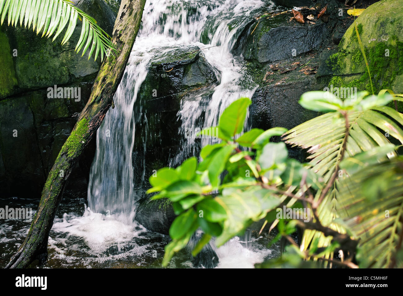 Moss covered waterfall hi-res stock photography and images - Alamy