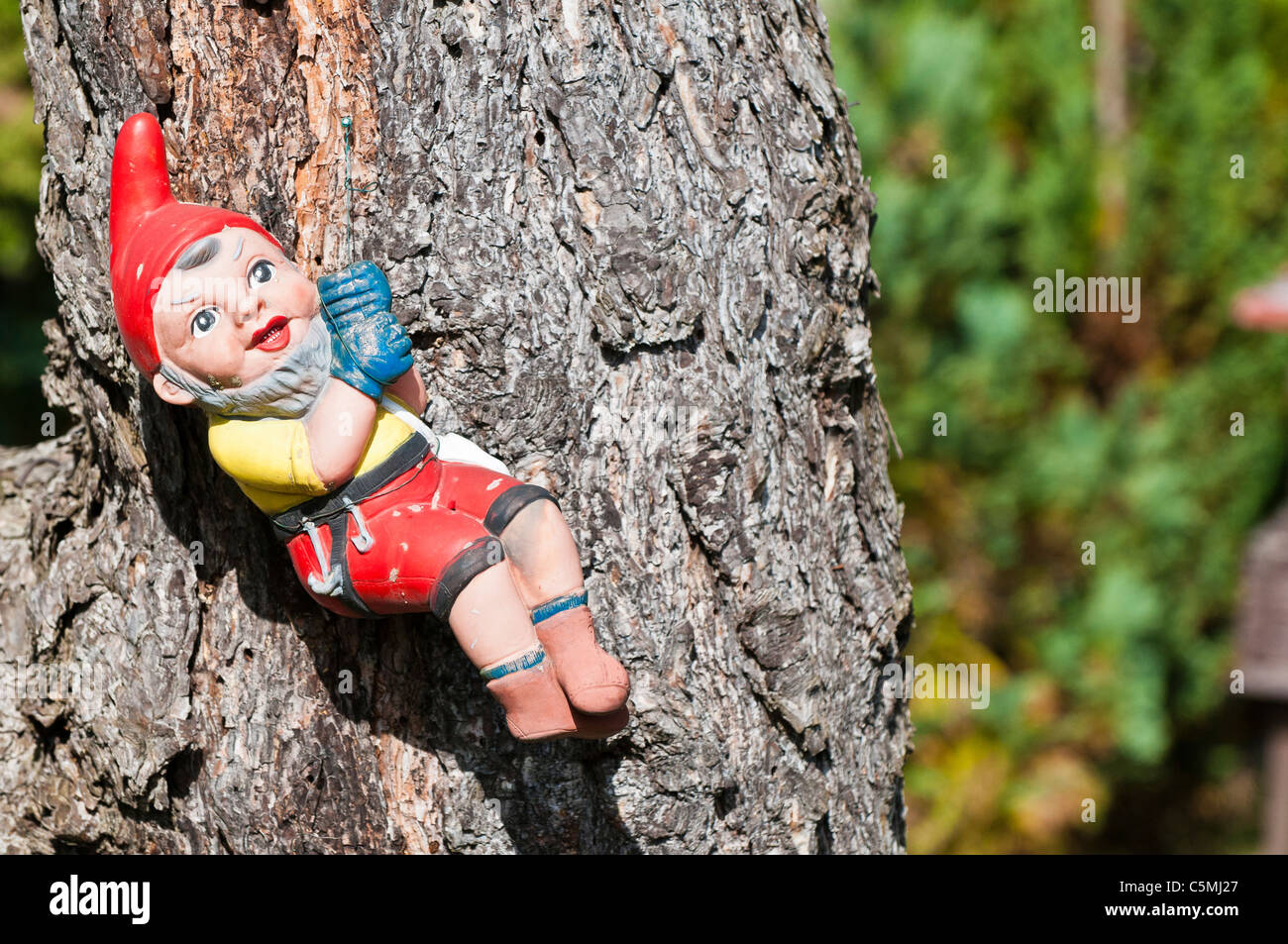 Garden gnome with tree hi-res stock photography and images - Alamy