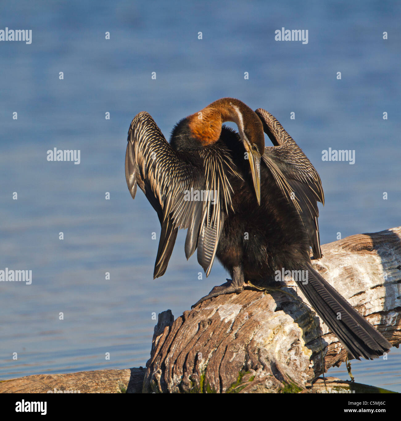 Mankwe dam hi-res stock photography and images - Alamy