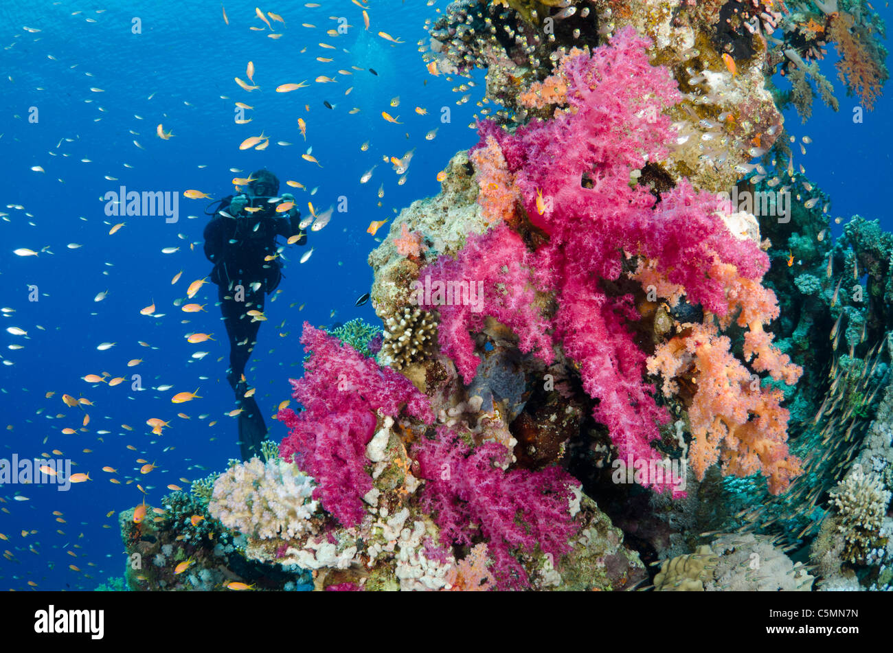 Straits of tiran hi-res stock photography and images - Alamy