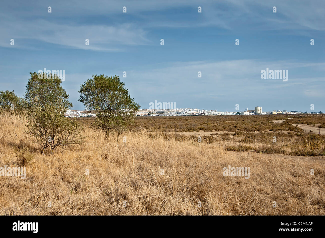 Castro Marim salt marsh natural reserve, Algarve, Portugal Stock Photo ...
