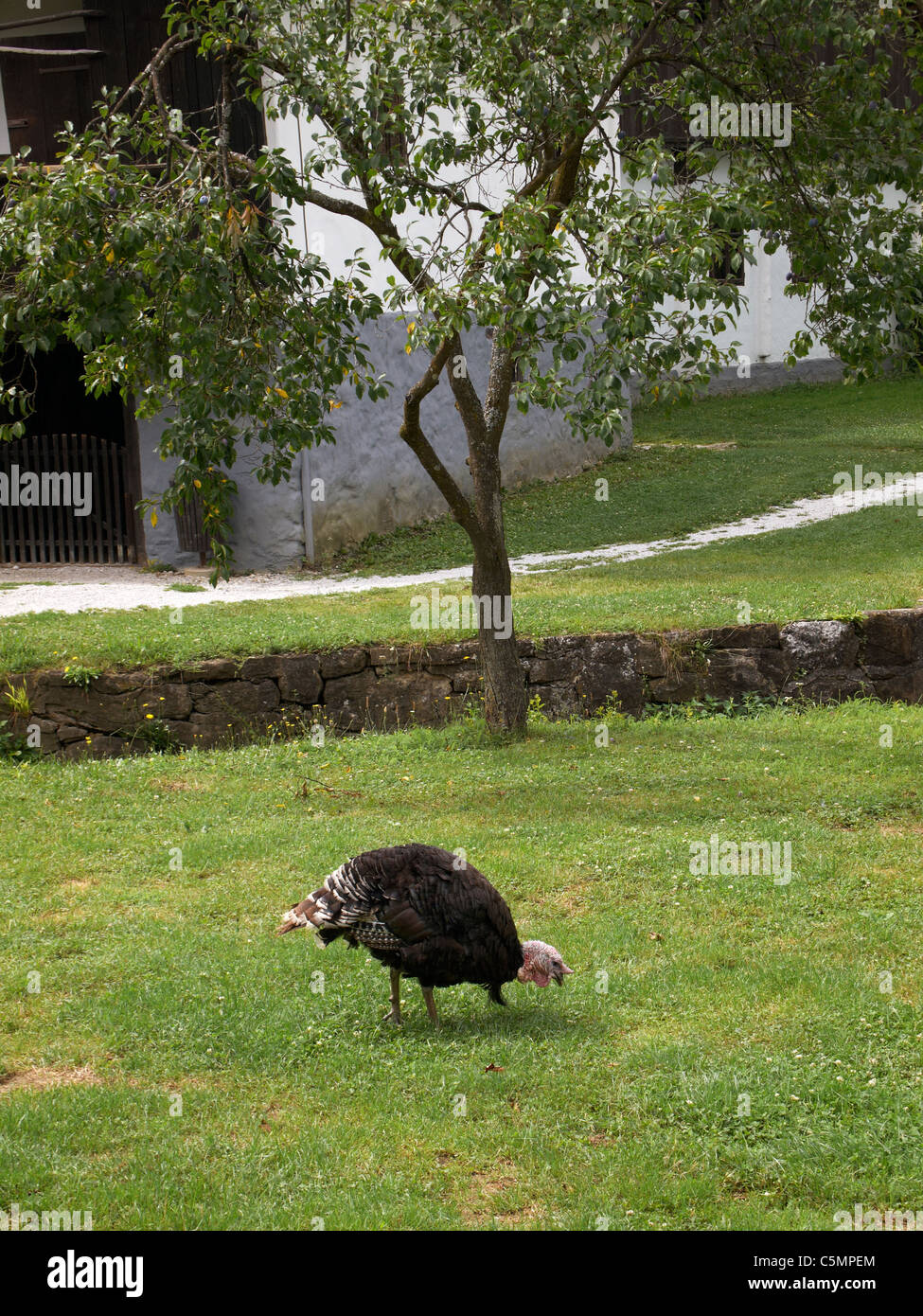 Croatia and turkey hi-res stock photography and images - Alamy