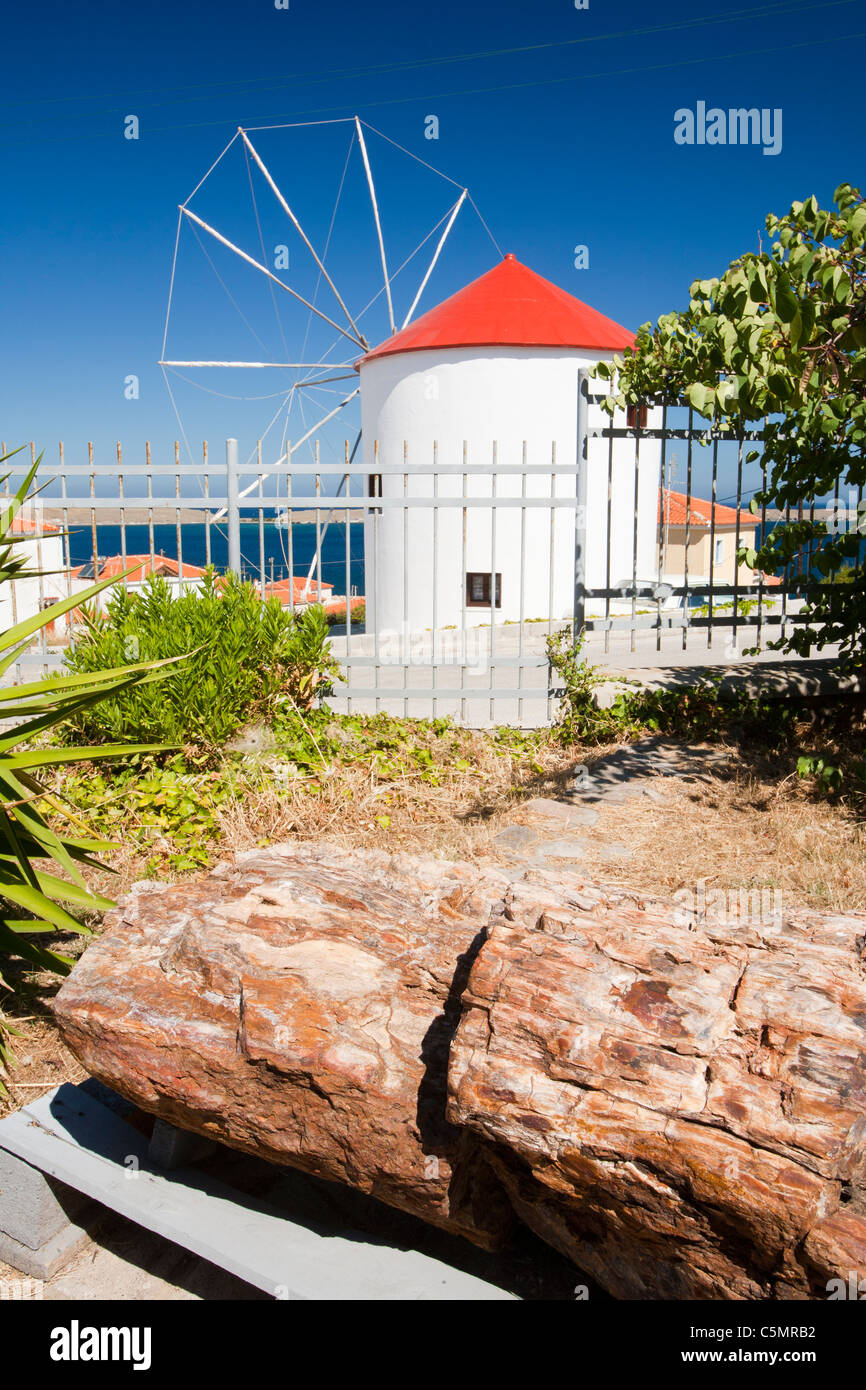 A fossilized tree trunk from the Lesvos petrified forest in front of a ...