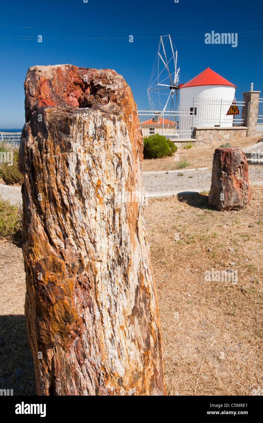 A fossilized tree trunk from the Lesvos petrified forest in front of a ...