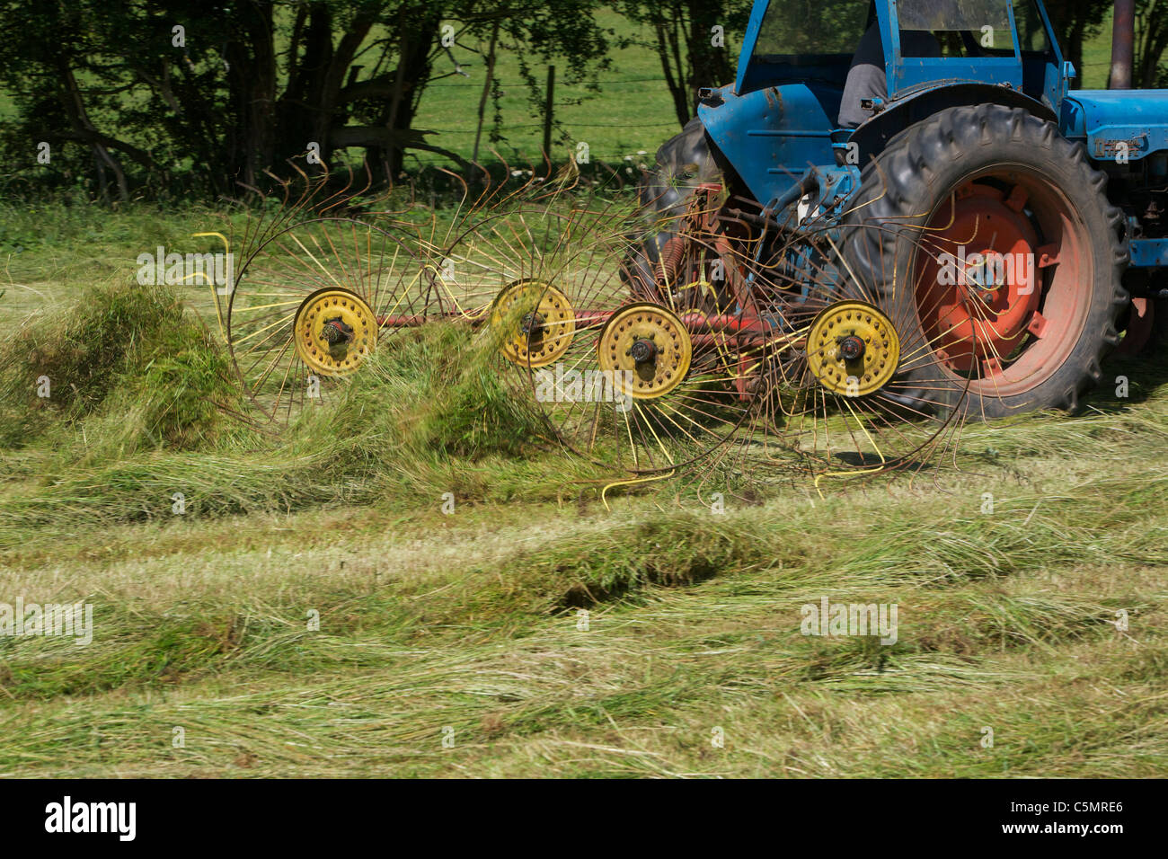 Fordson Major Tractor turning hay with traditional wheel rake Stock ...