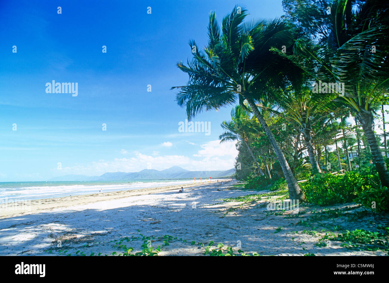 Empty beach with Palm trees Stock Photo - Alamy