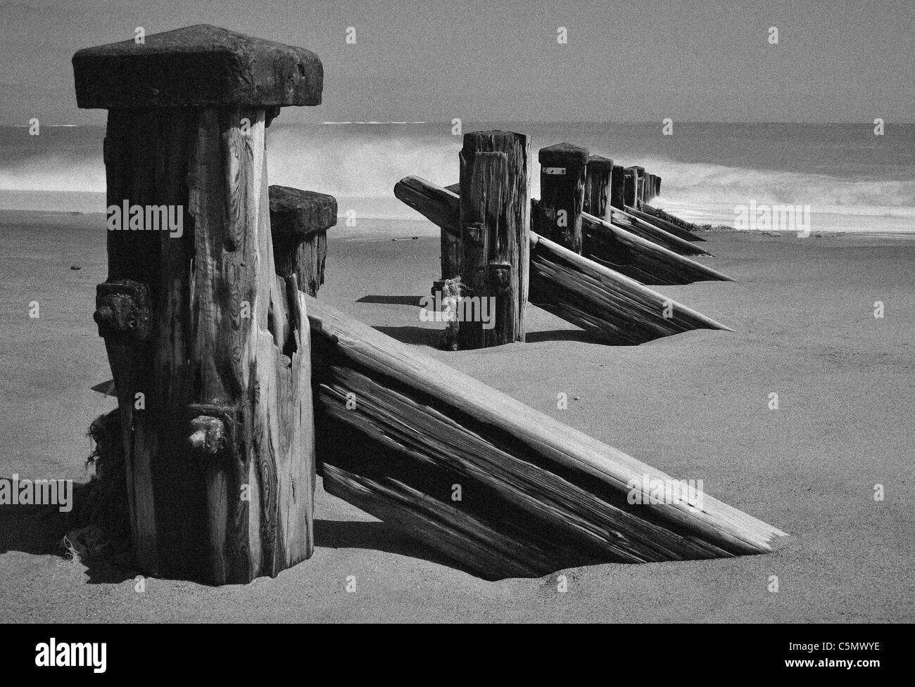 Wooden Groynes at Spurn Point Stock Photo - Alamy