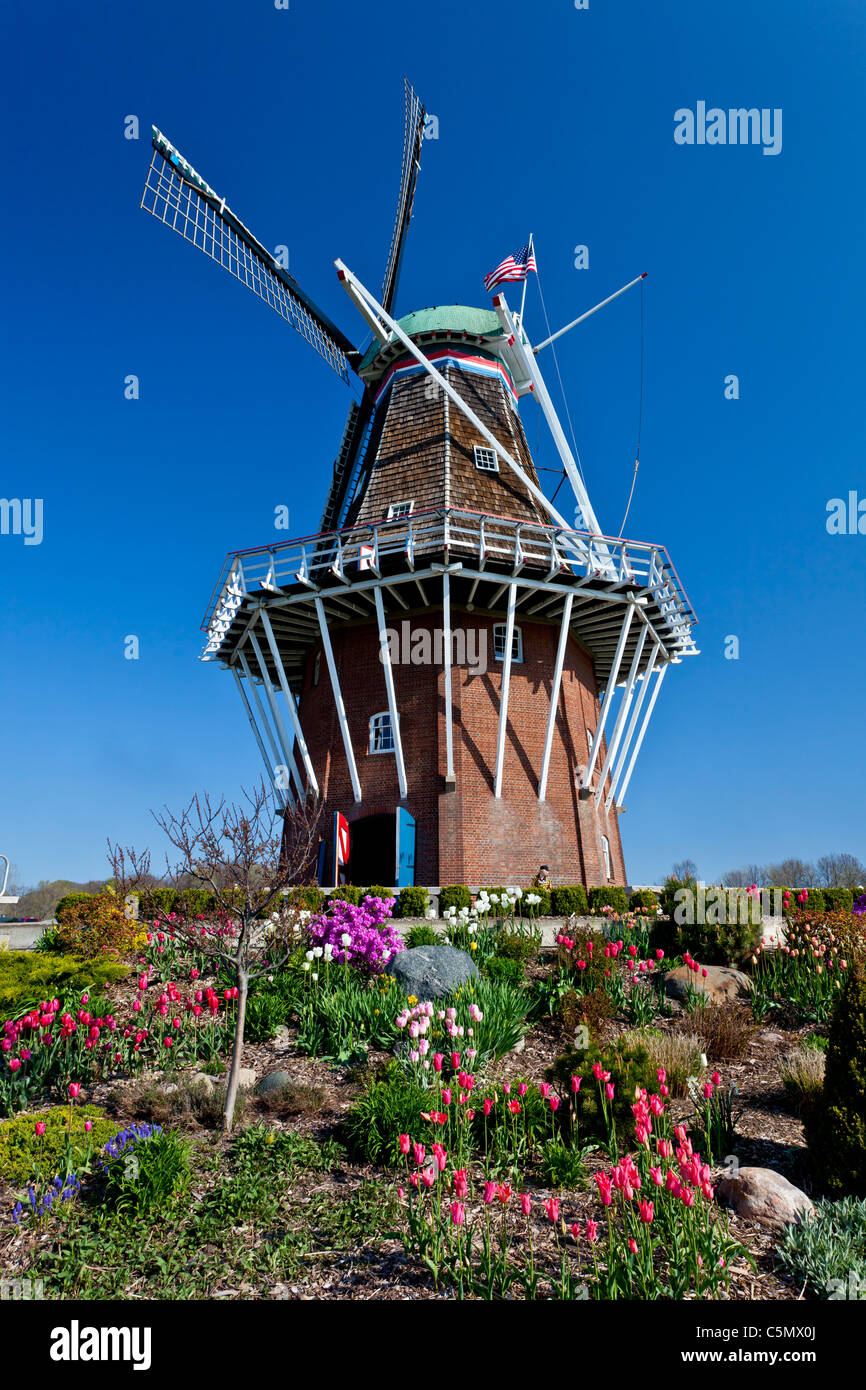 A windmill with spring tulip flowers on Windmill Island in Holland ...