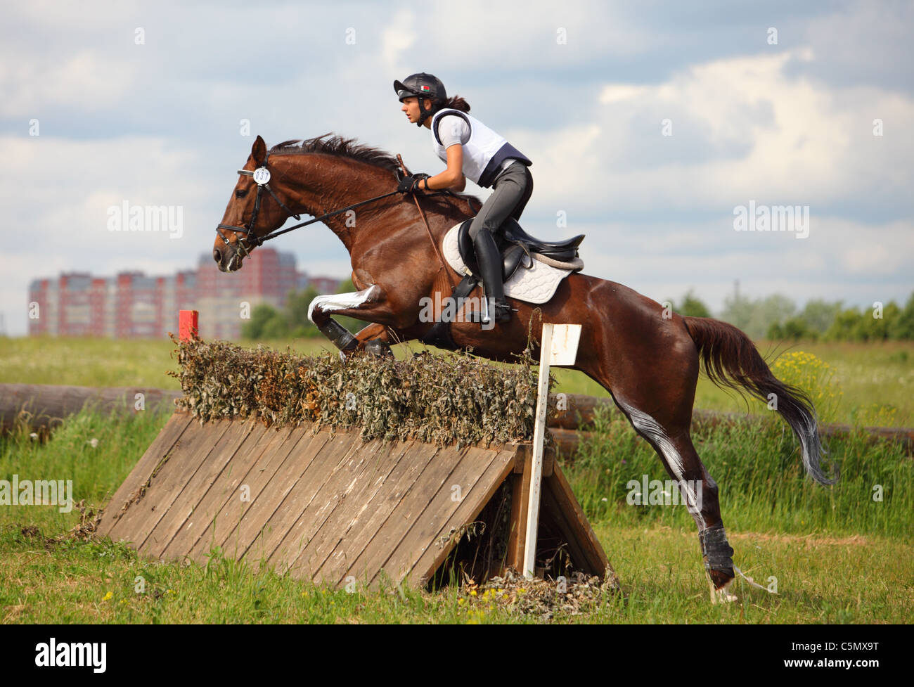 Equestrian sport. Three-day-event competition horse jumping Stock Photo ...