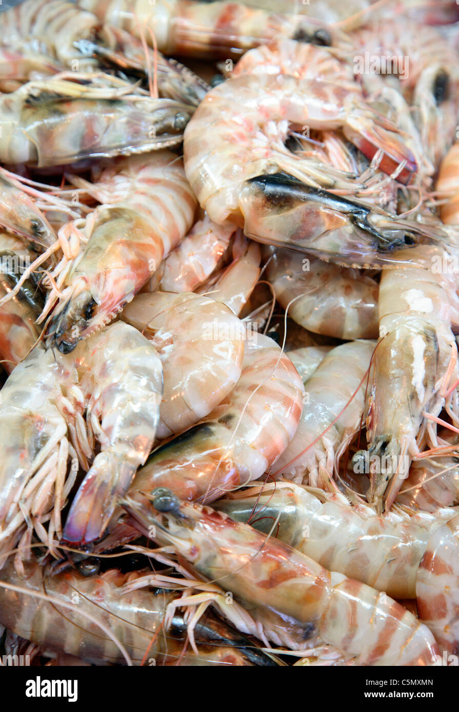 prawns for sale Fish Market Stock Photo - Alamy