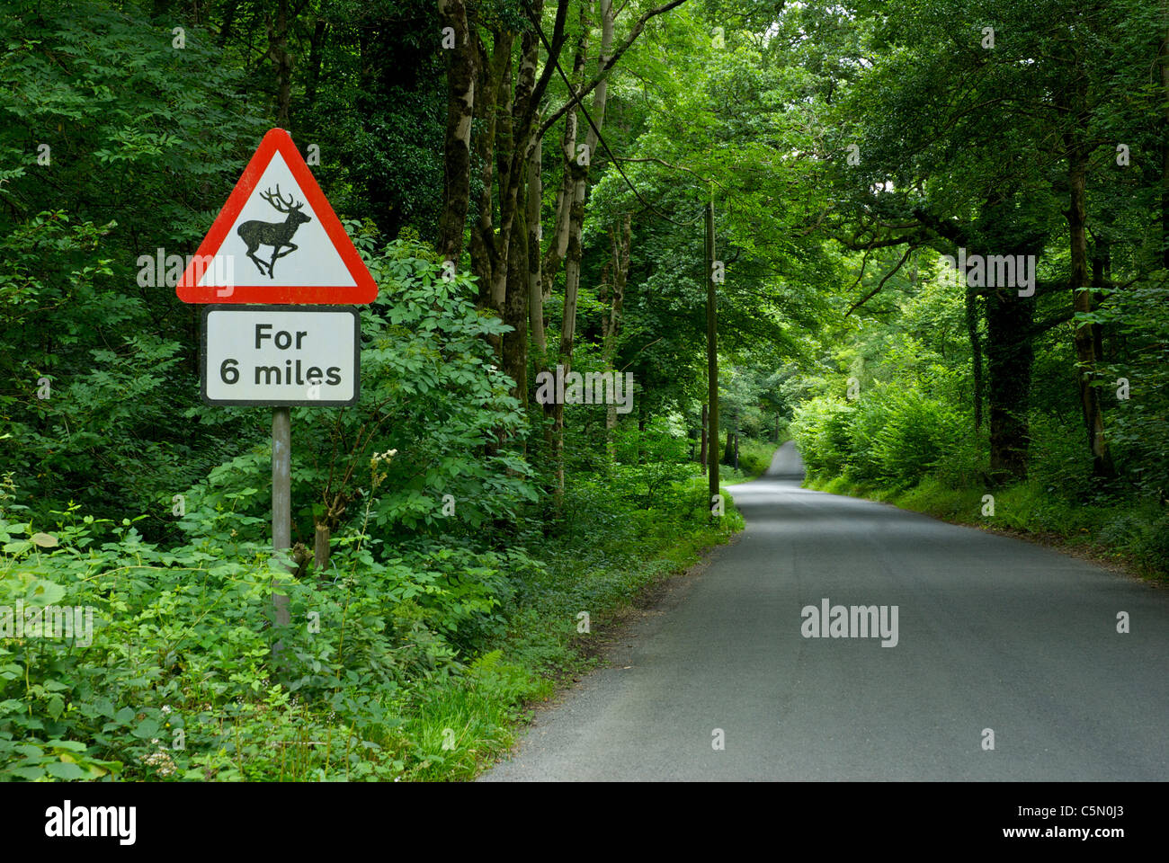 Narrow Road Sign On Lane High Resolution Stock Photography and Images ...