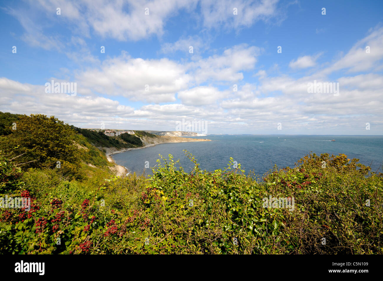 Durlston bay hi-res stock photography and images - Alamy