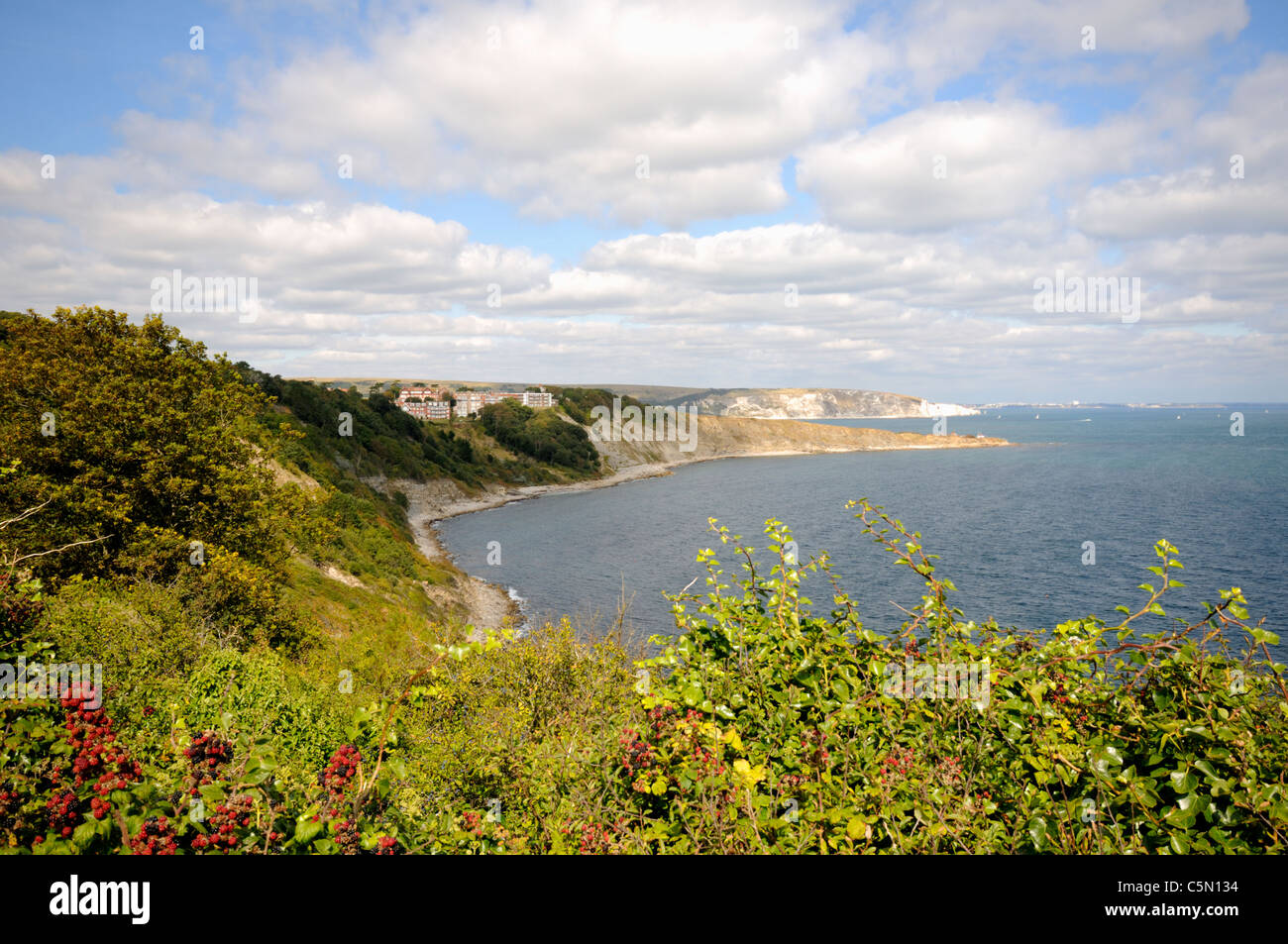 Durlston Bay High Resolution Stock Photography and Images - Alamy