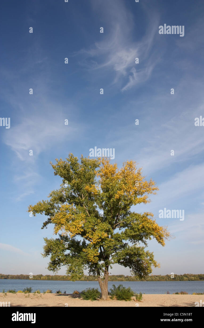 Riverbank landscape hi-res stock photography and images - Alamy