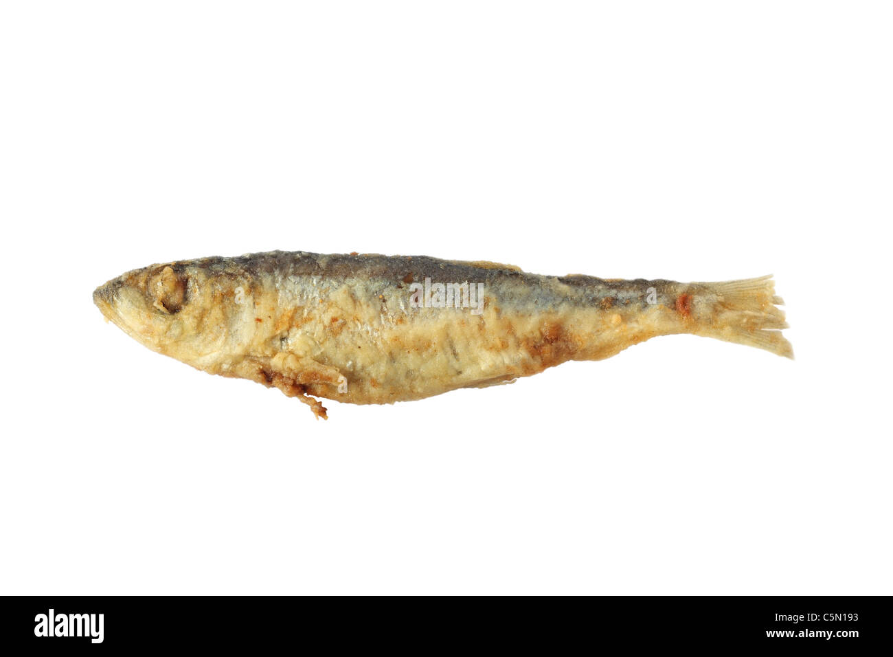 One grilled fish on a white background Stock Photo - Alamy