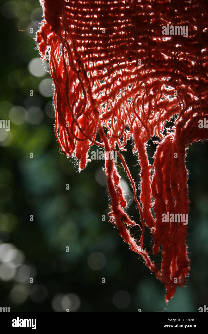 red cloth rag hanging on washing line in sun Stock Photo - Alamy