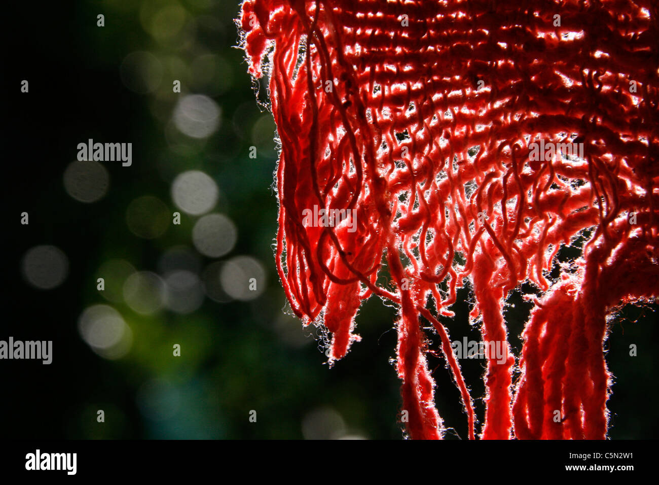 red cloth rag hanging on washing line in sun Stock Photo - Alamy
