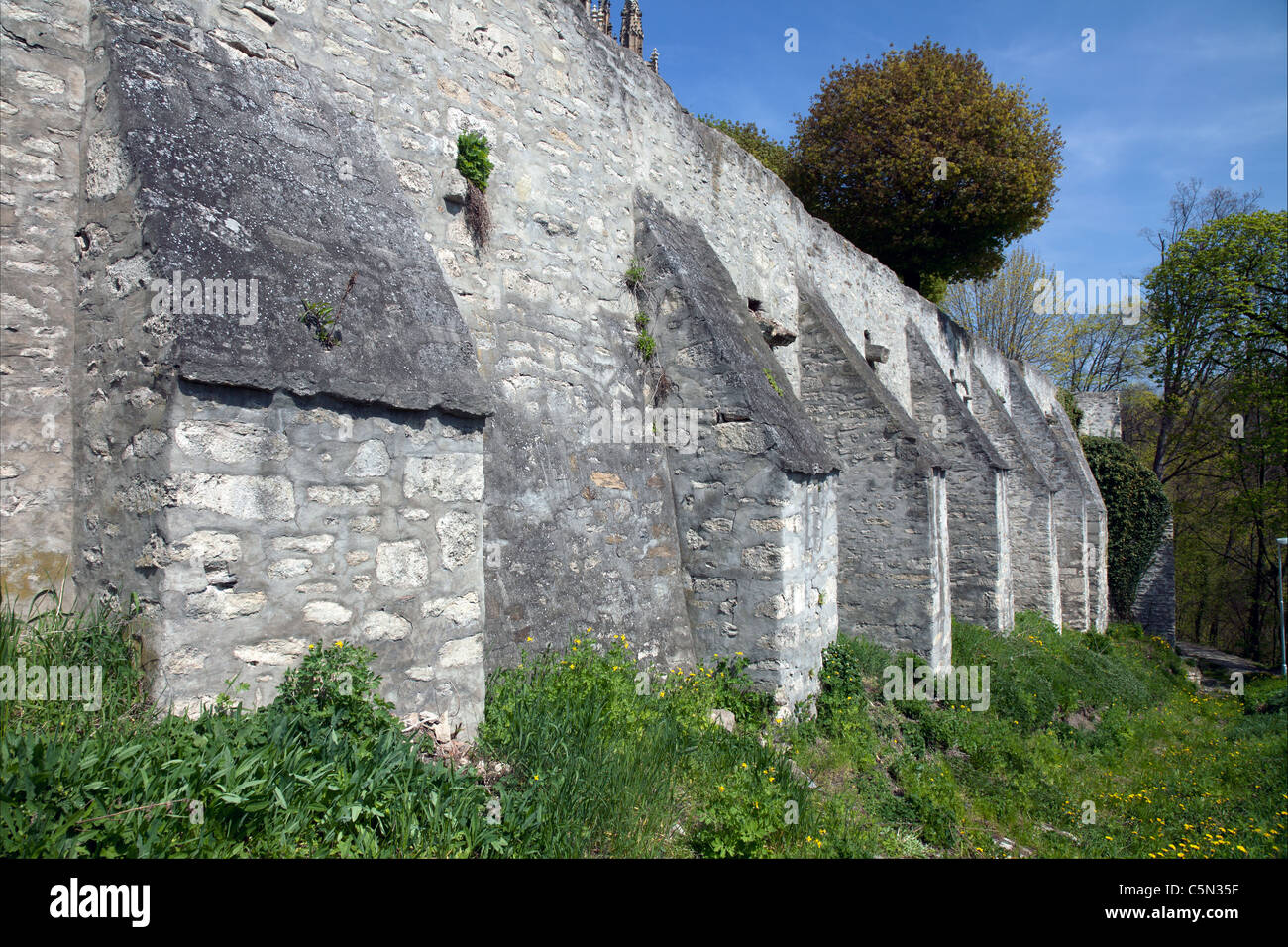 Gothic tree hi-res stock photography and images - Alamy