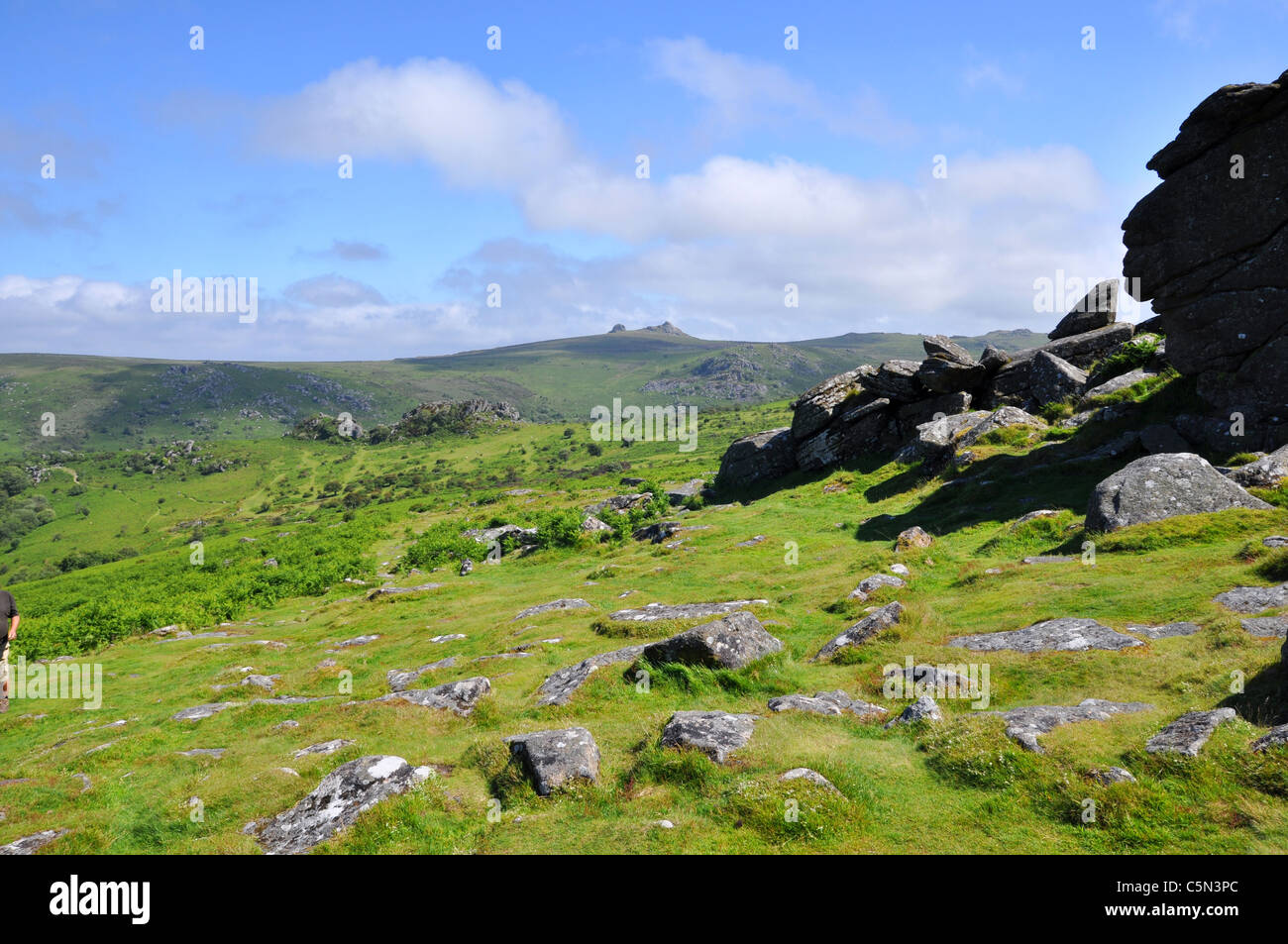landscape view from hound tor, dartmoor, devon Stock Photo - Alamy