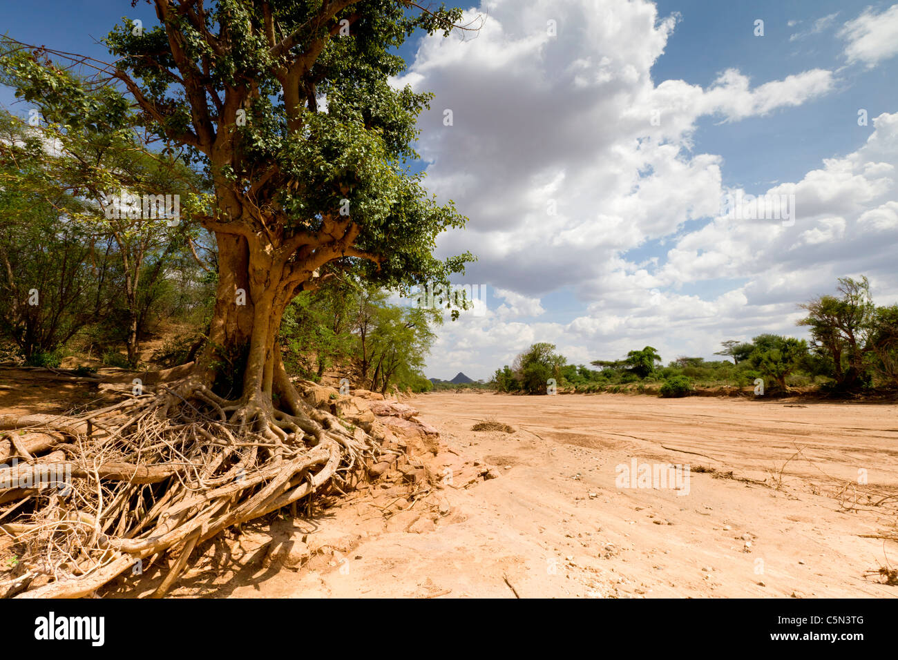 A dried- up riverbed near Tumi in the Lower Omo Valley, Southern ...