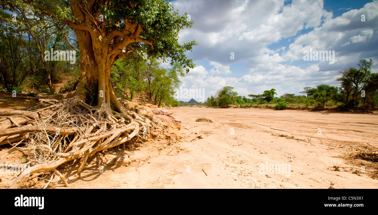 A dried- up riverbed near Tumi in the Lower Omo Valley, Southern ...