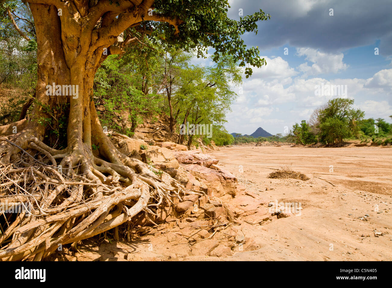 A dried- up riverbed near Tumi in the Lower Omo Valley, Southern ...