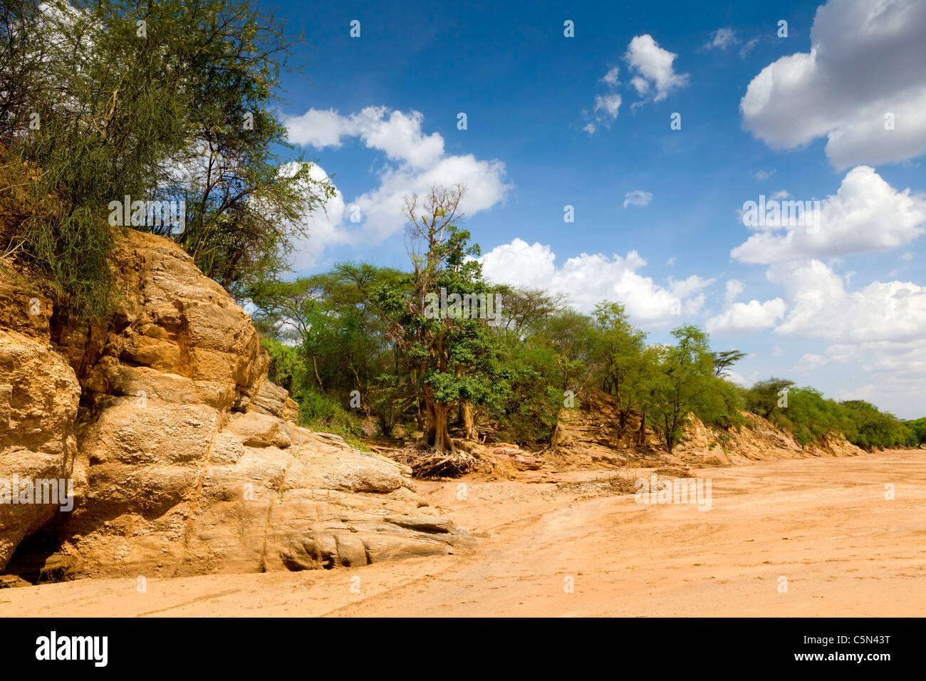 A dried- up riverbed near Tumi in the Lower Omo Valley, Southern ...