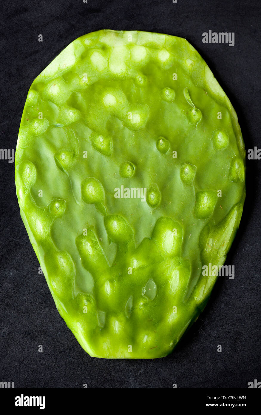 Nopal pad hi-res stock photography and images - Alamy