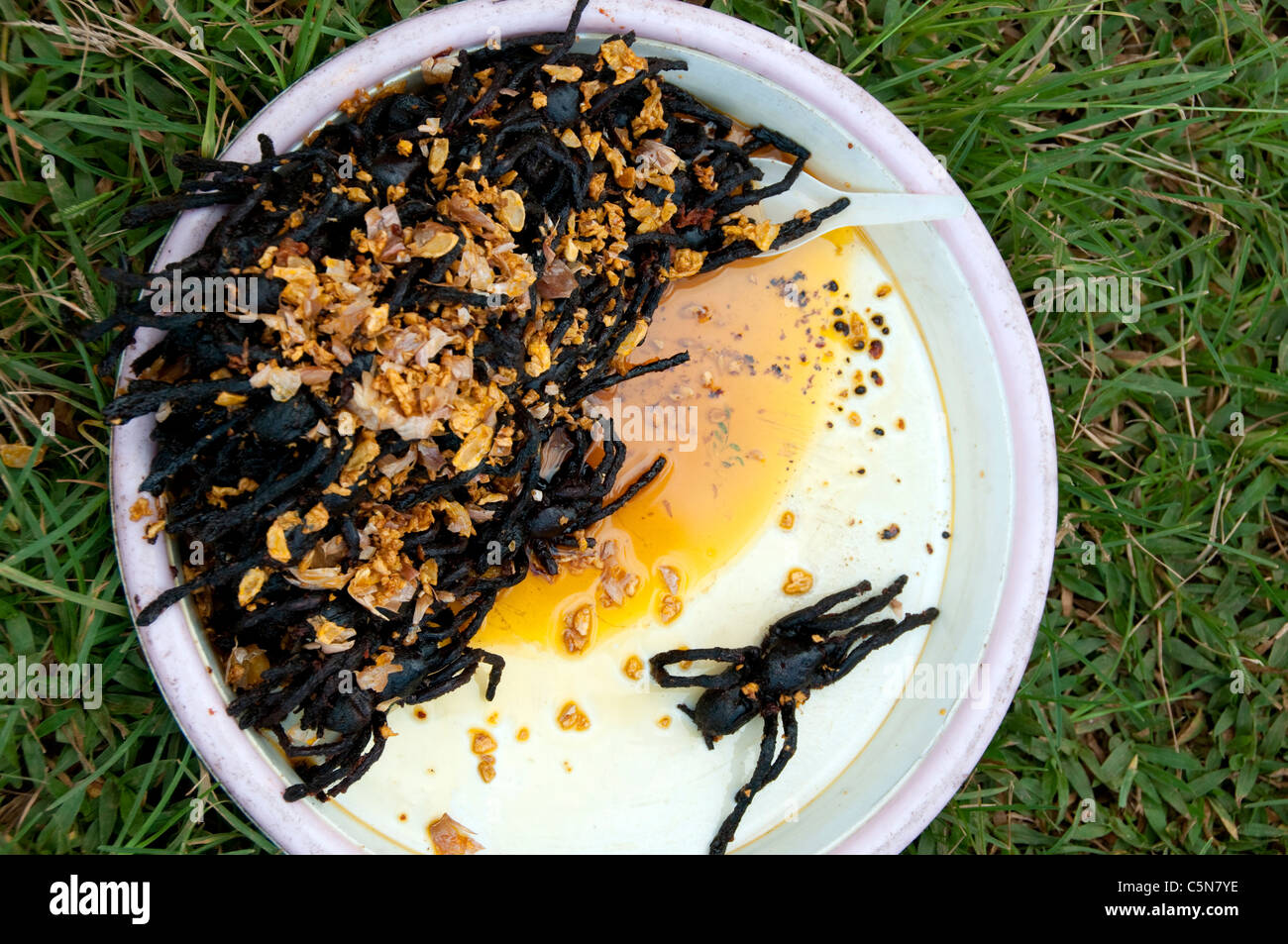Roasted spider hi-res stock photography and images - Alamy
