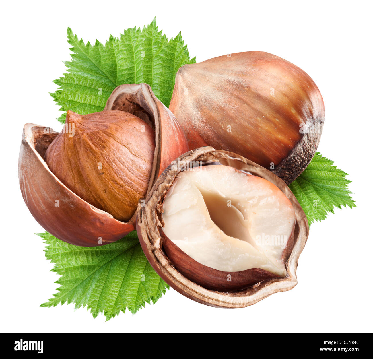 Filberts with leaves isolated on a white background Stock Photo - Alamy