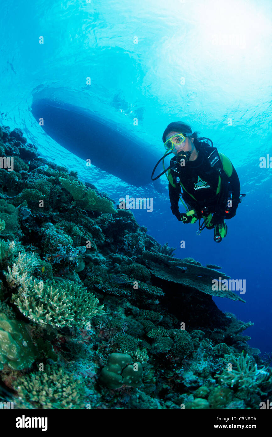 Scuba Diving in Kimbe Bay, New Britain, Papua New Guinea Stock Photo ...