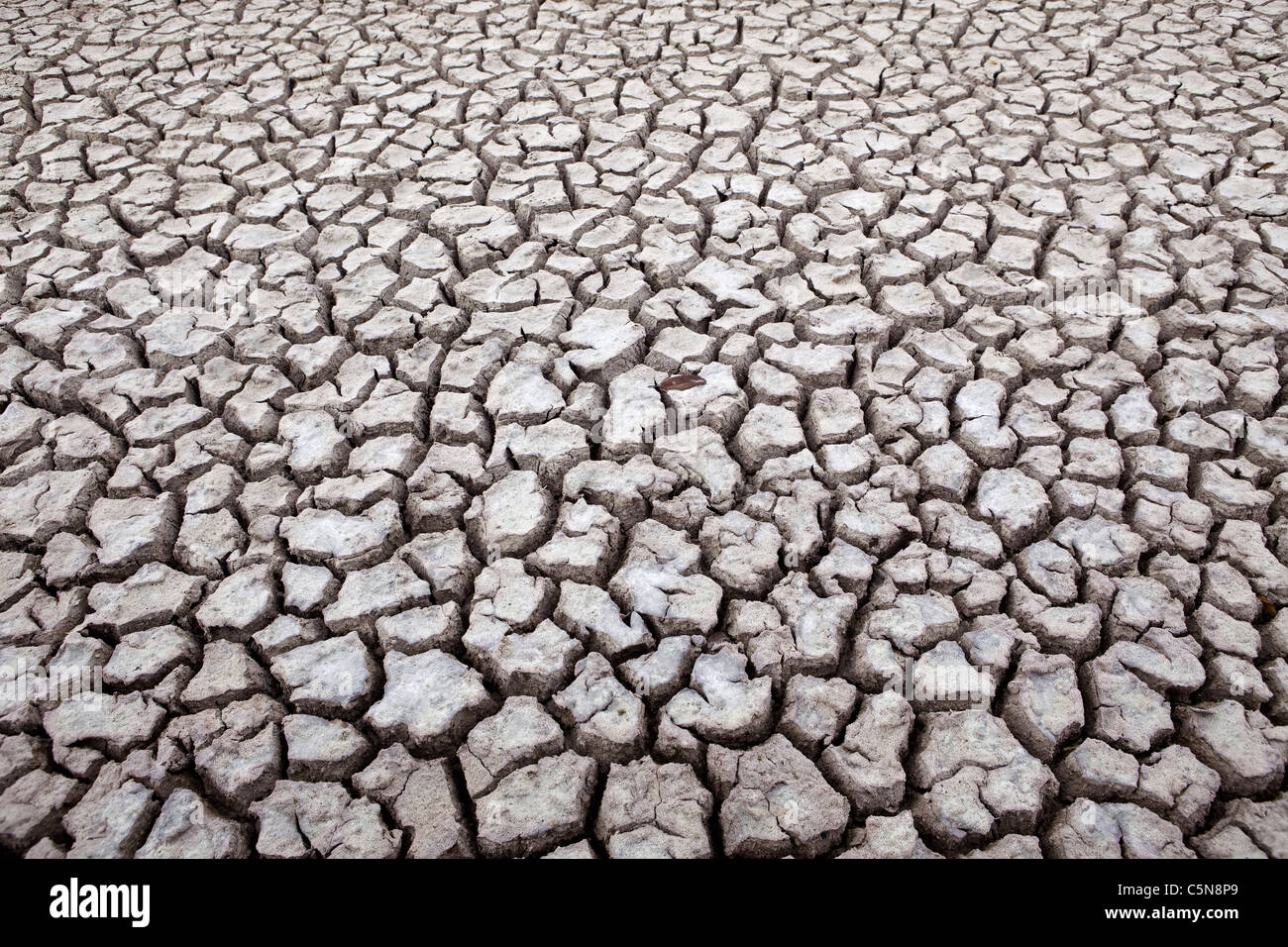 Dry Lagoon at Cormorant Point, Floreana Island, Galapagos, Ecuador ...
