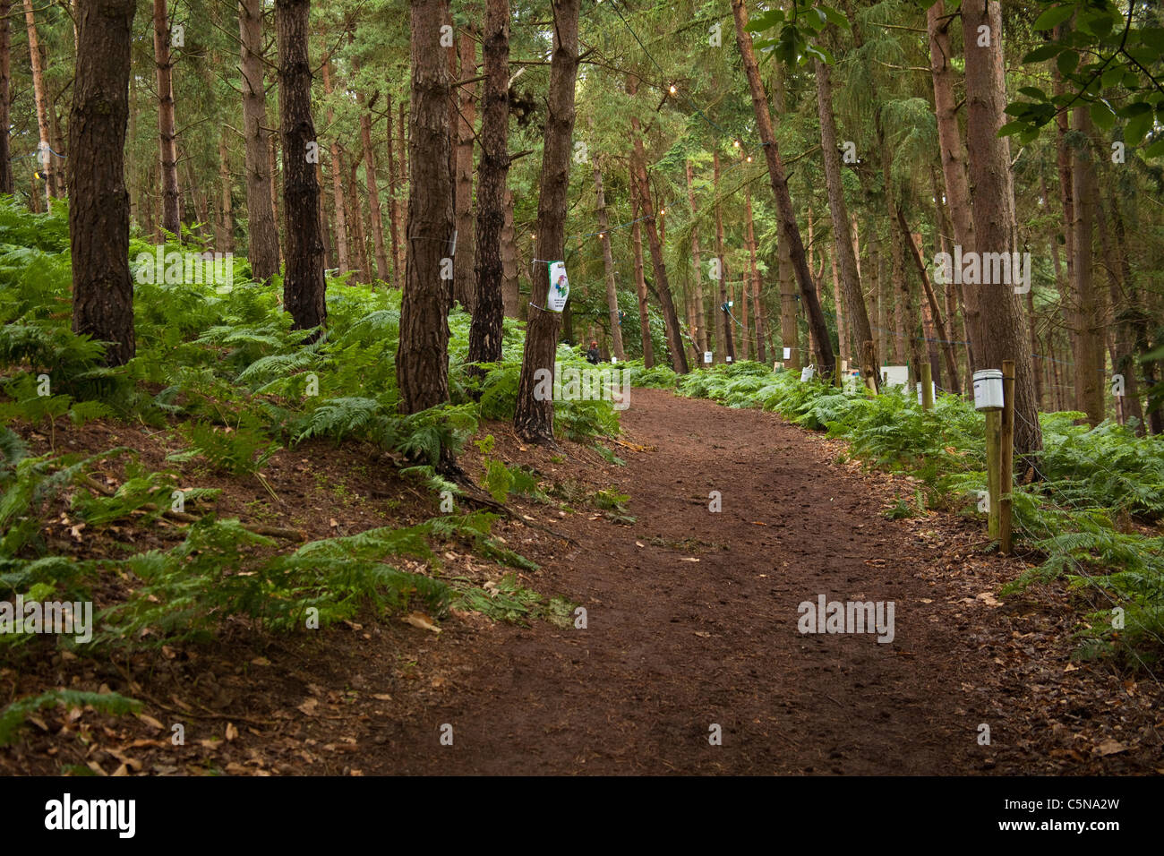 Gallery in the woods at the Latitude Festival 2011, Henham Park ...