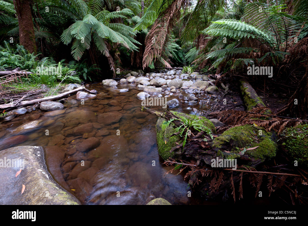 Melbourne australia water supply hi-res stock photography and images ...