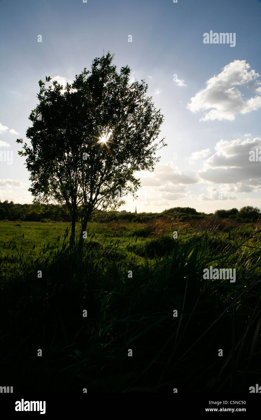 View across Walthamstow Marshes to Stamford Hill in the far distance ...
