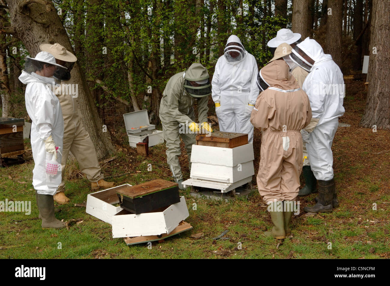 A group of novice beekeepers with instructor inspecting a WBC bee hive ...