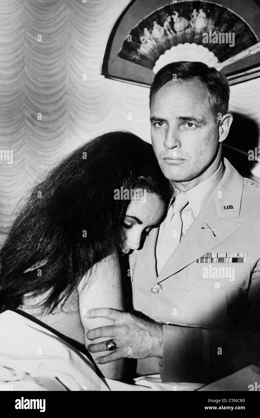 Robert Forster Reflections In A Golden Eye