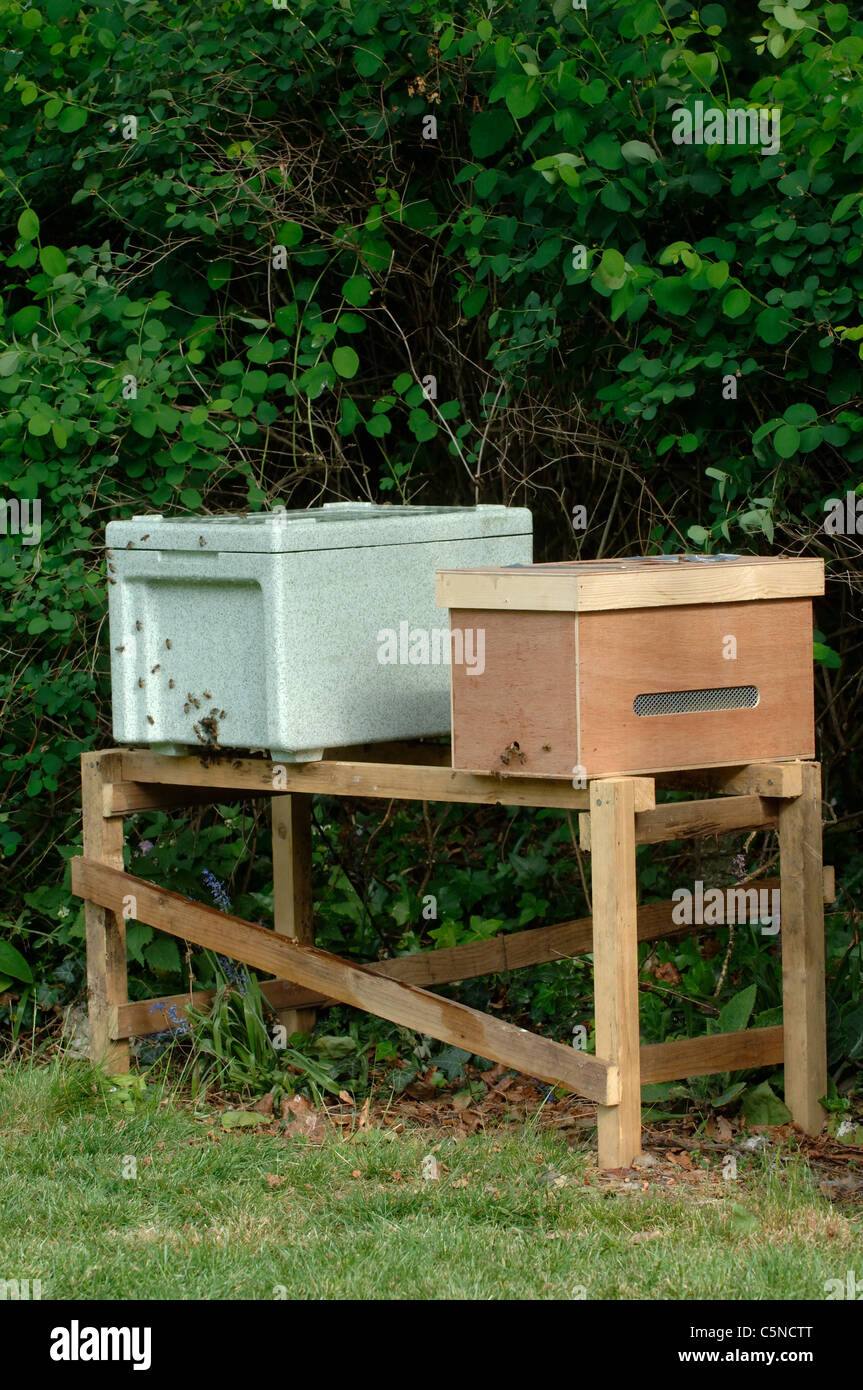 Polystyrene hive hi-res stock photography and images - Alamy
