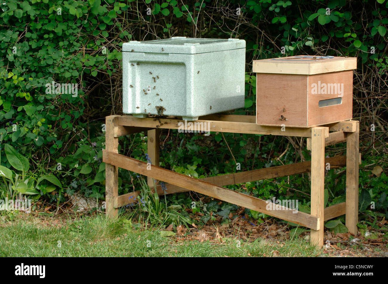 Polystyrene Nucleus hive and travel hive box on a stand Stock Photo - Alamy