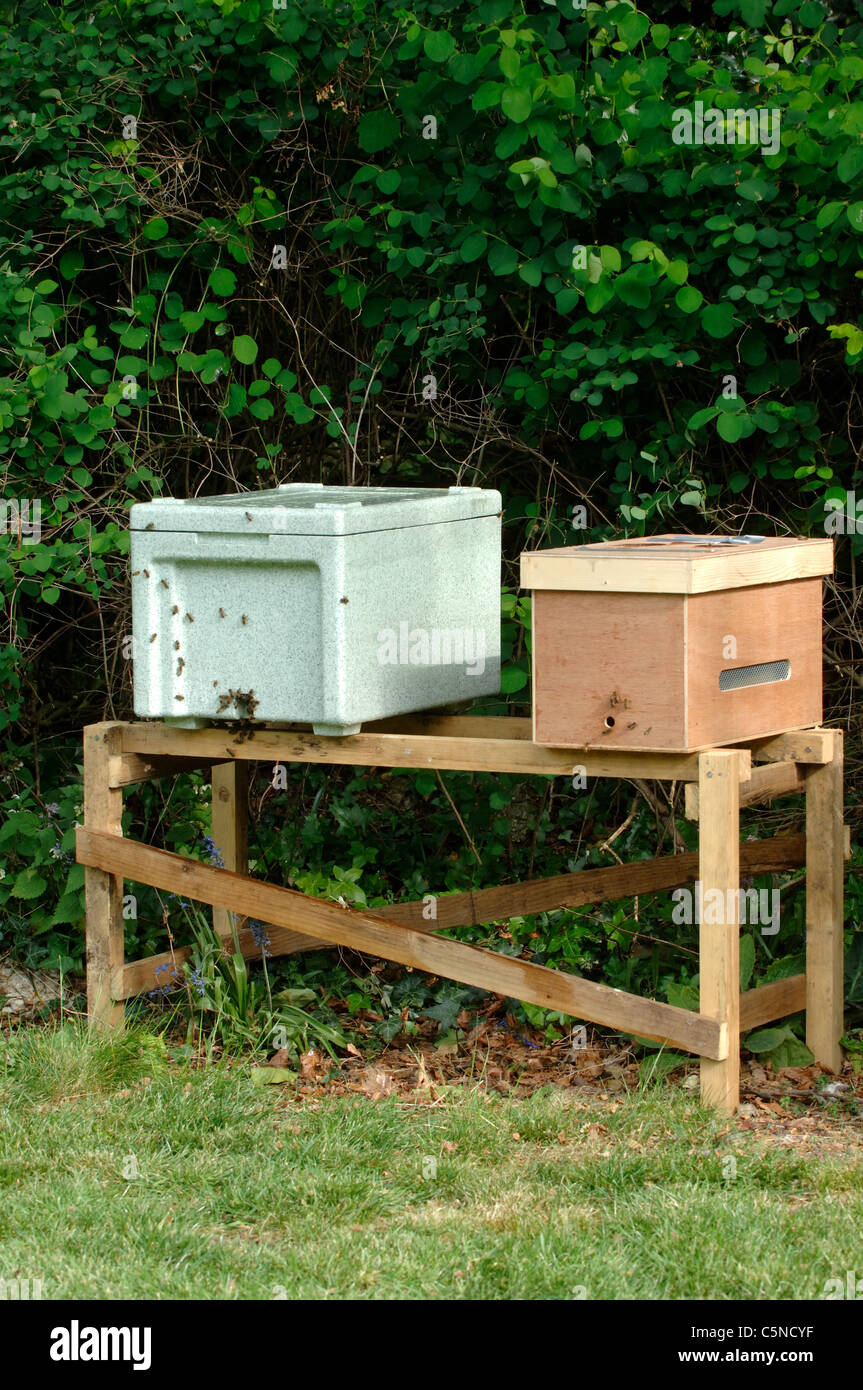 Polystyrene Nucleus hive and travel hive box on a stand Stock Photo - Alamy