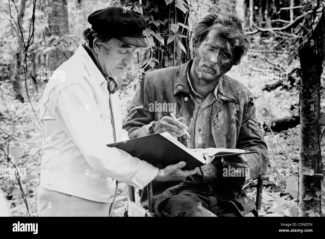 Don Siegel Don Siegel High Resolution Stock Photography and Images - Alamy