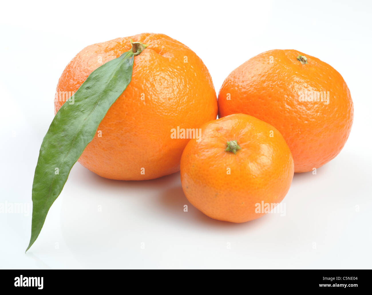 three tangerines on a white background Stock Photo - Alamy