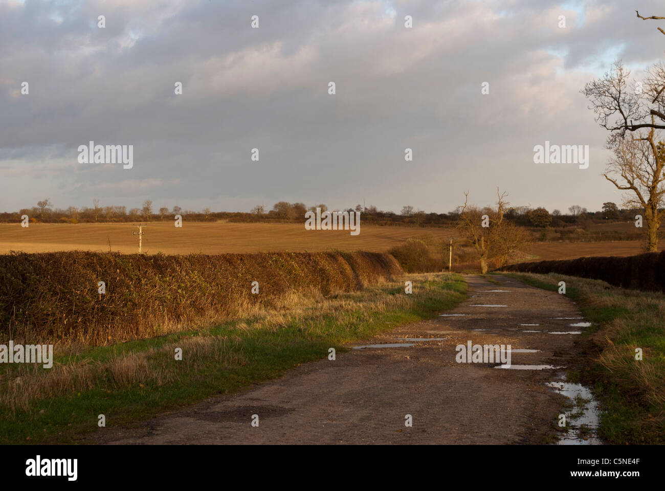 Bridle path at sunset Stock Photo - Alamy
