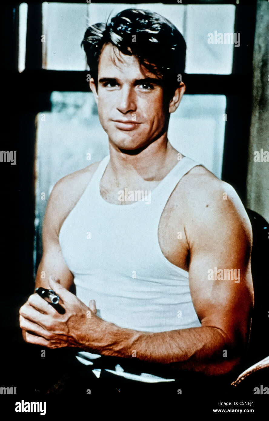 Warren beatty hi-res stock photography and images - Alamy