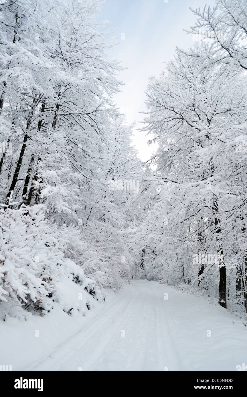 White pathway hi-res stock photography and images - Alamy