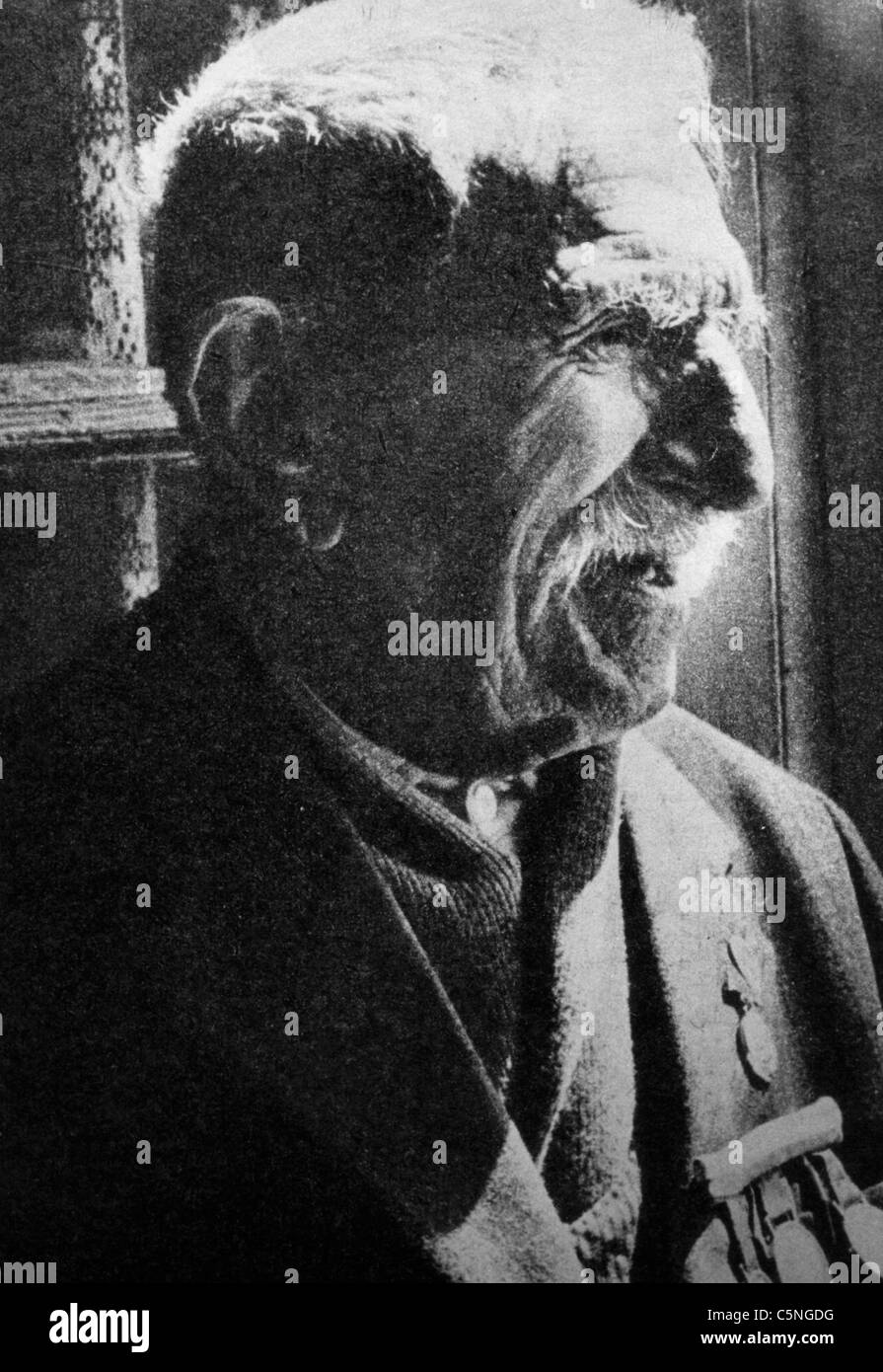 Luigi galvani hi-res stock photography and images - Alamy