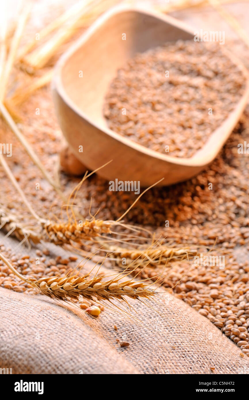 Rough Wheat High Resolution Stock Photography and Images - Alamy