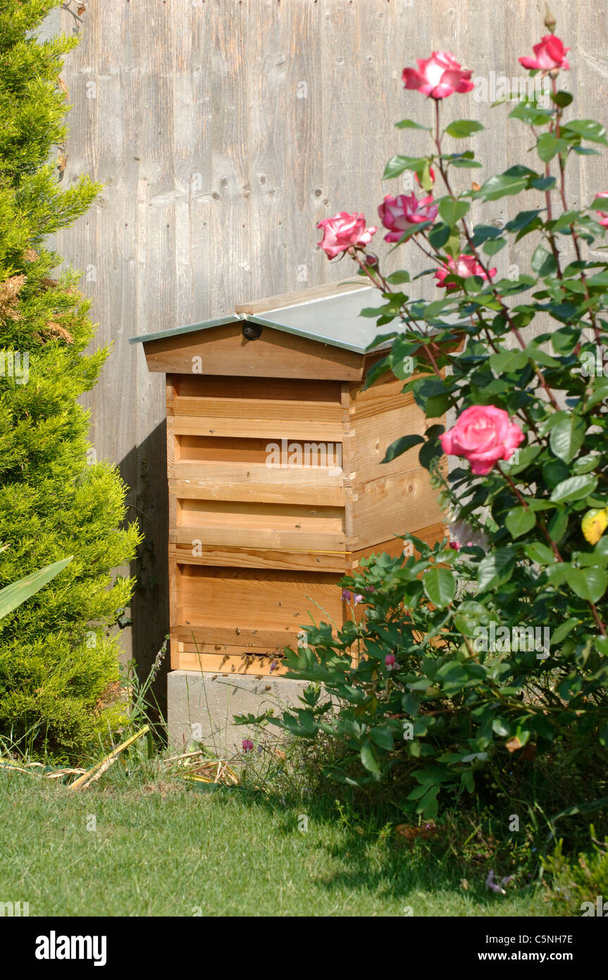 Bee Hives in an English garden Stock Photo - Alamy