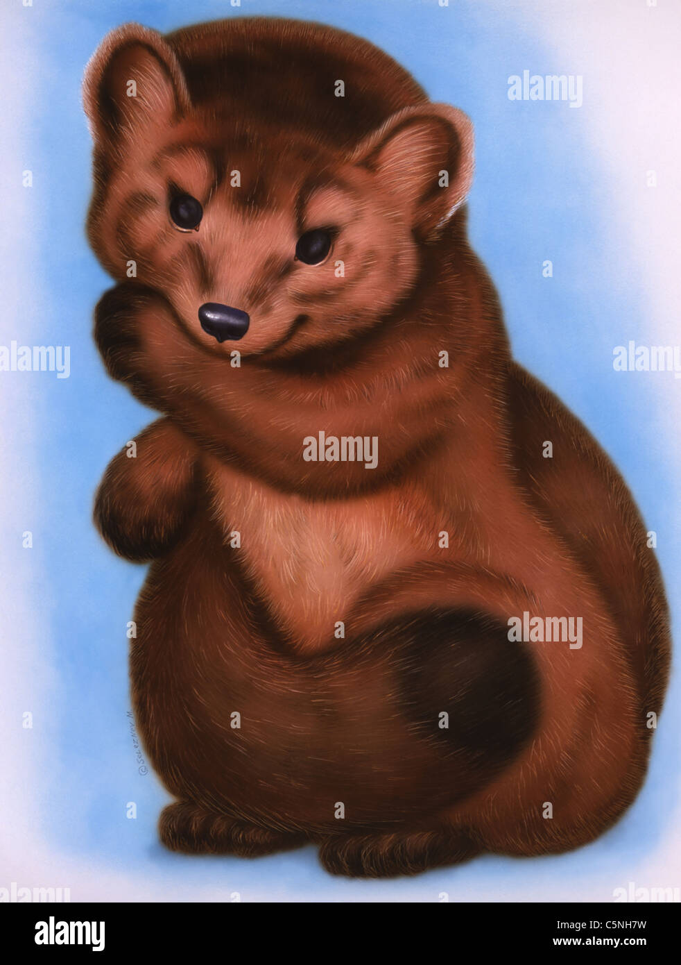 Sable illustrations hi-res stock photography and images - Alamy